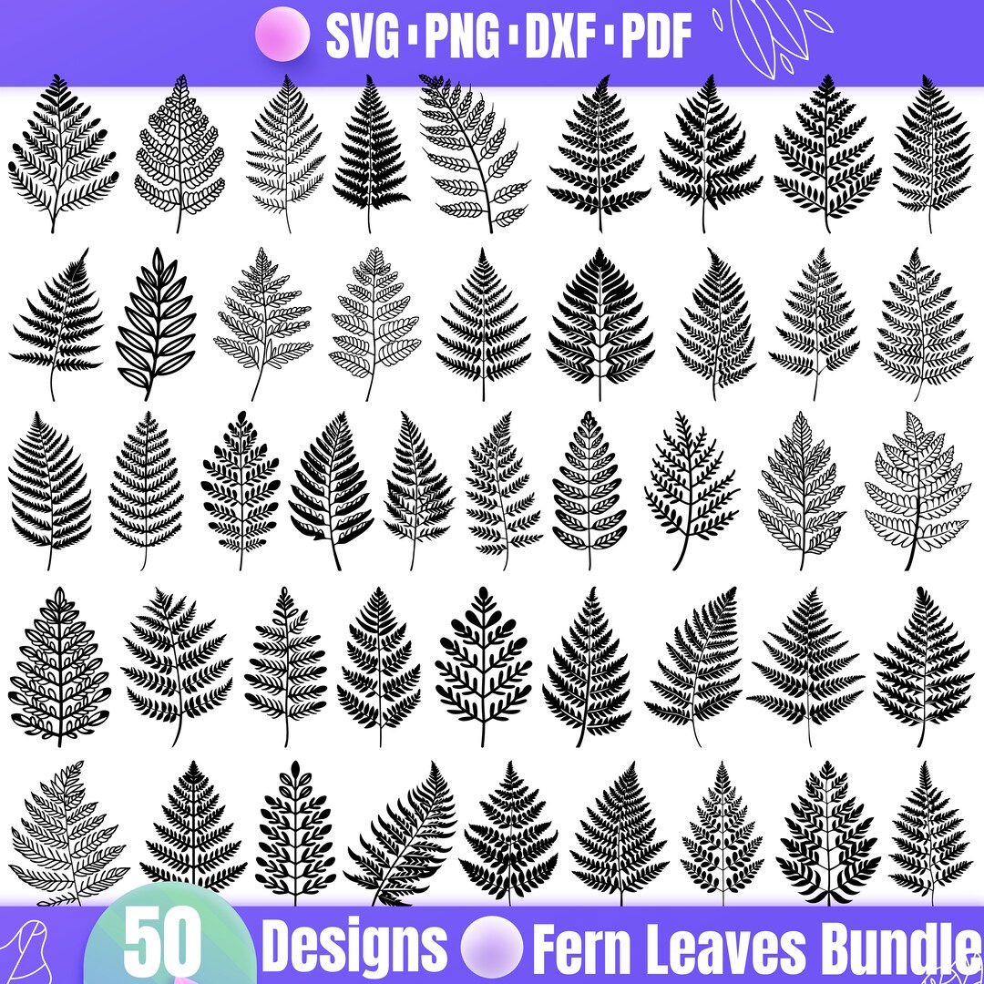 High Quality Fern Leaves SVG Bundle, Fern Leaves Dxf, Fern Leaves Png ...