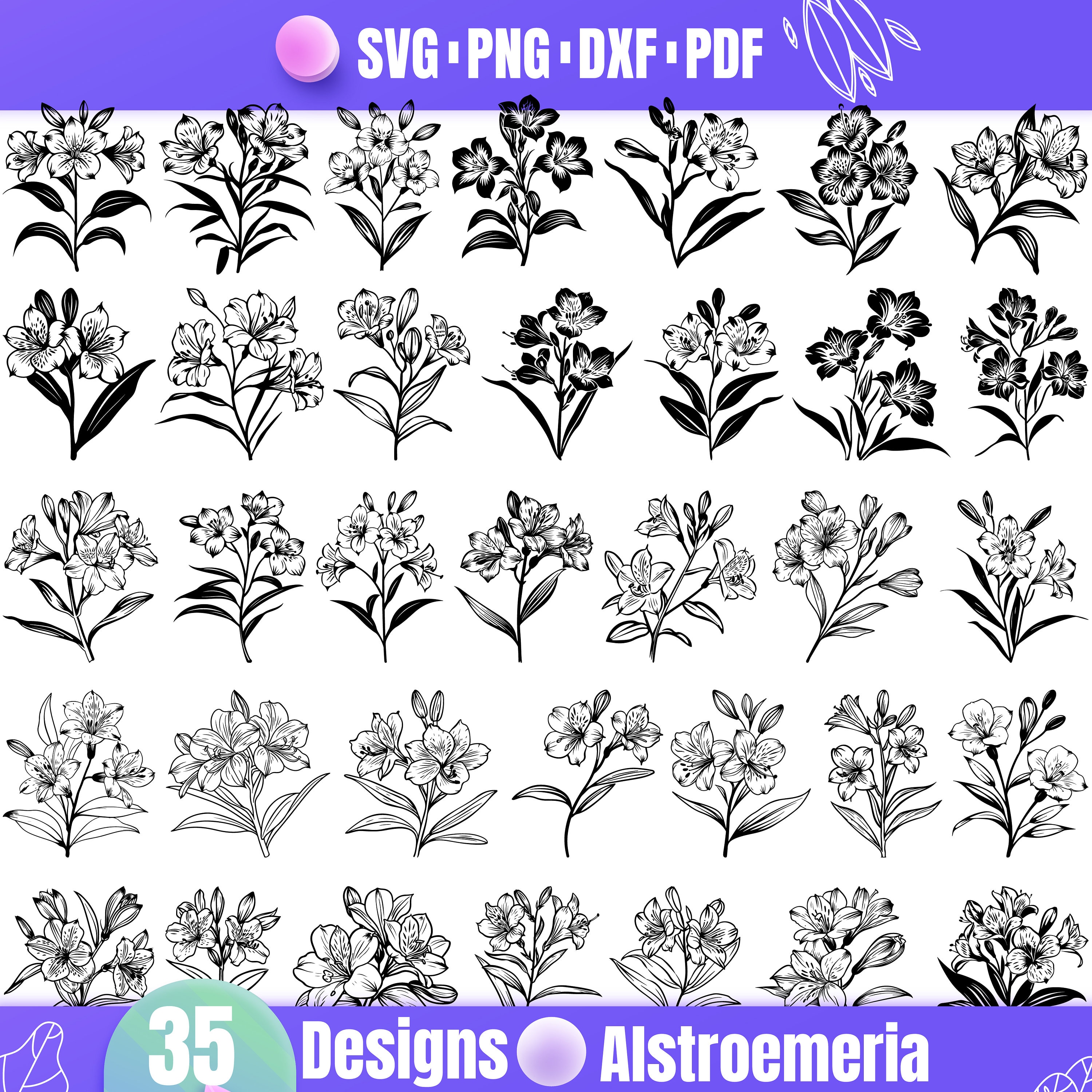 High Quality Alstroemeria SVG Bundle, Alstroemeria Dxf, Alstroemeria ...