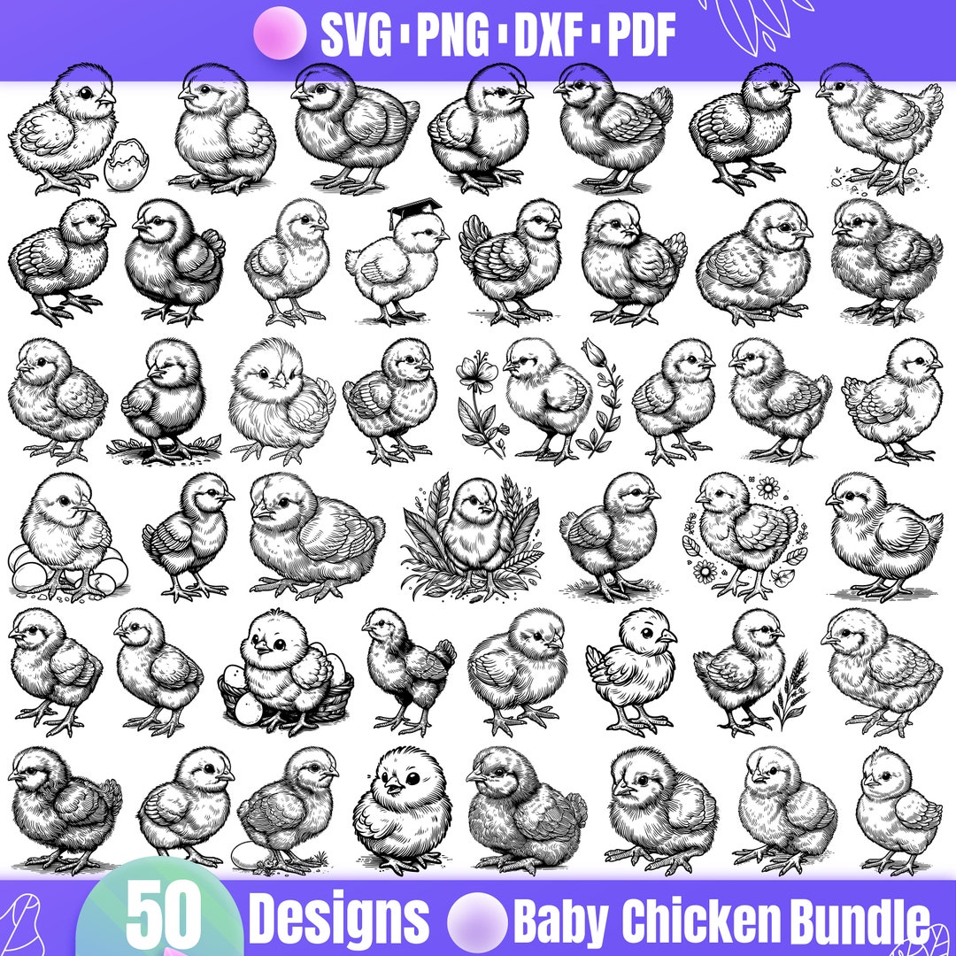 High Quality Baby Chicken SVG Bundle, Baby Chicken Dxf, Baby Chicken ...
