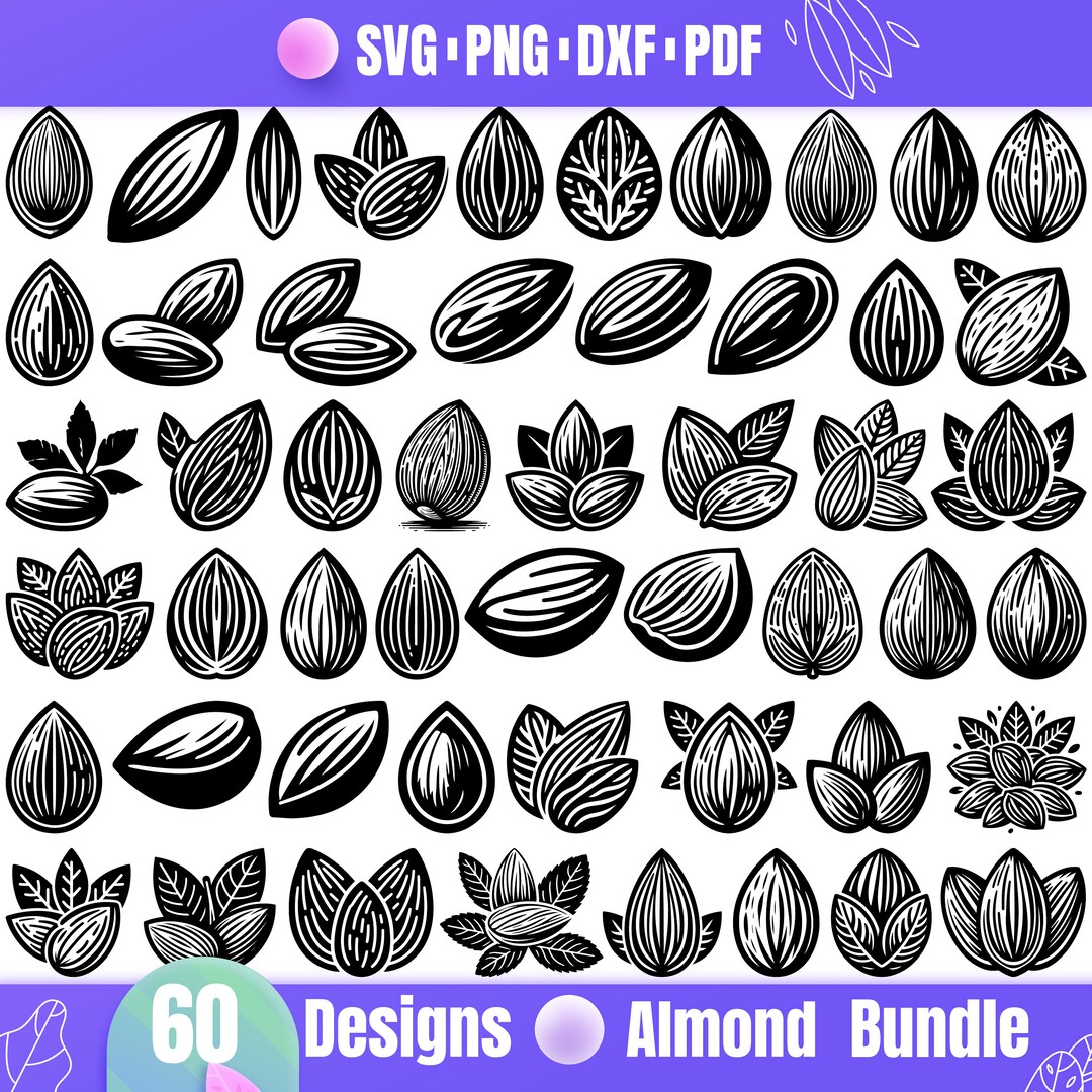 High Quality Almond SVG Bundle, Almond Dxf, Almond Png, Almond Vector ...