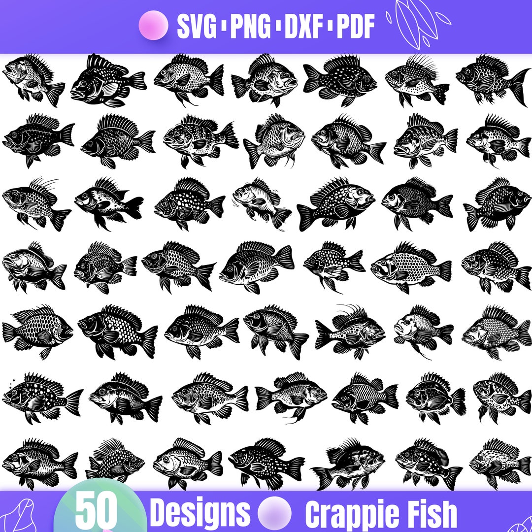 Crappie Fish SVG – Fishing, Sport Fish, Outdoor Adventure, Angler Gift ...