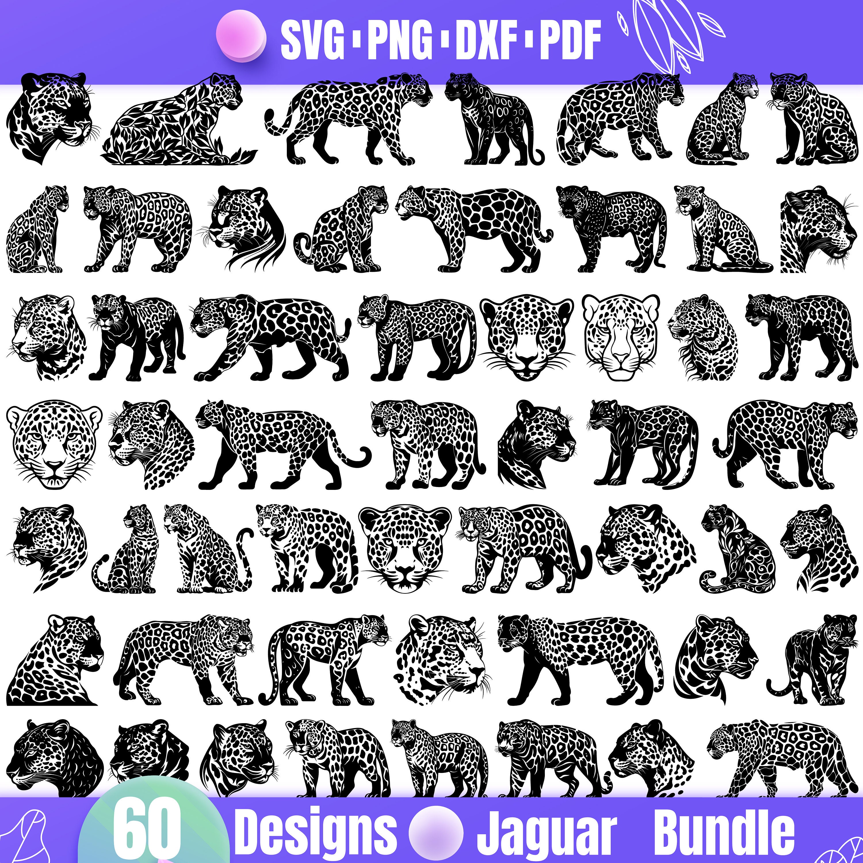 High Quality Jaguar SVG Bundle, Jaguar Dxf, Jaguar Png, Jaguar Vector ...