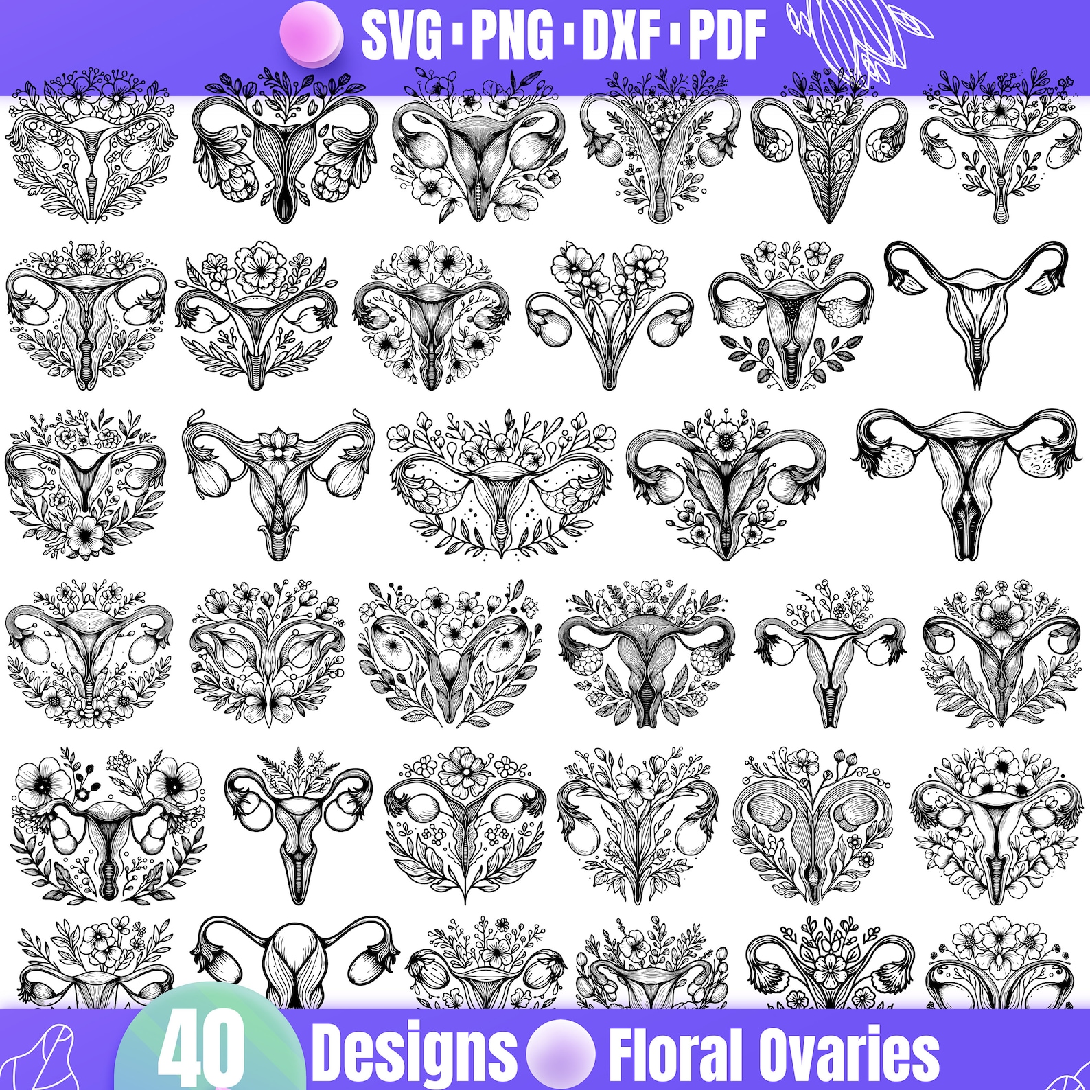 High Quality Floral Ovaries SVG Bundle, Ovaries Dxf, Ovaries Png ...