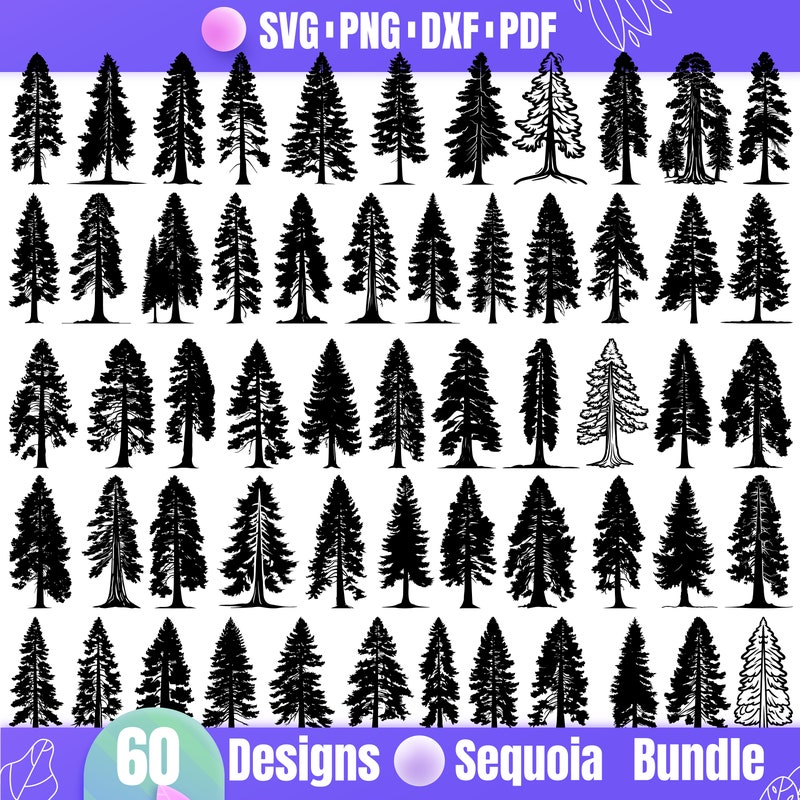 Sequoia Tree - Etsy