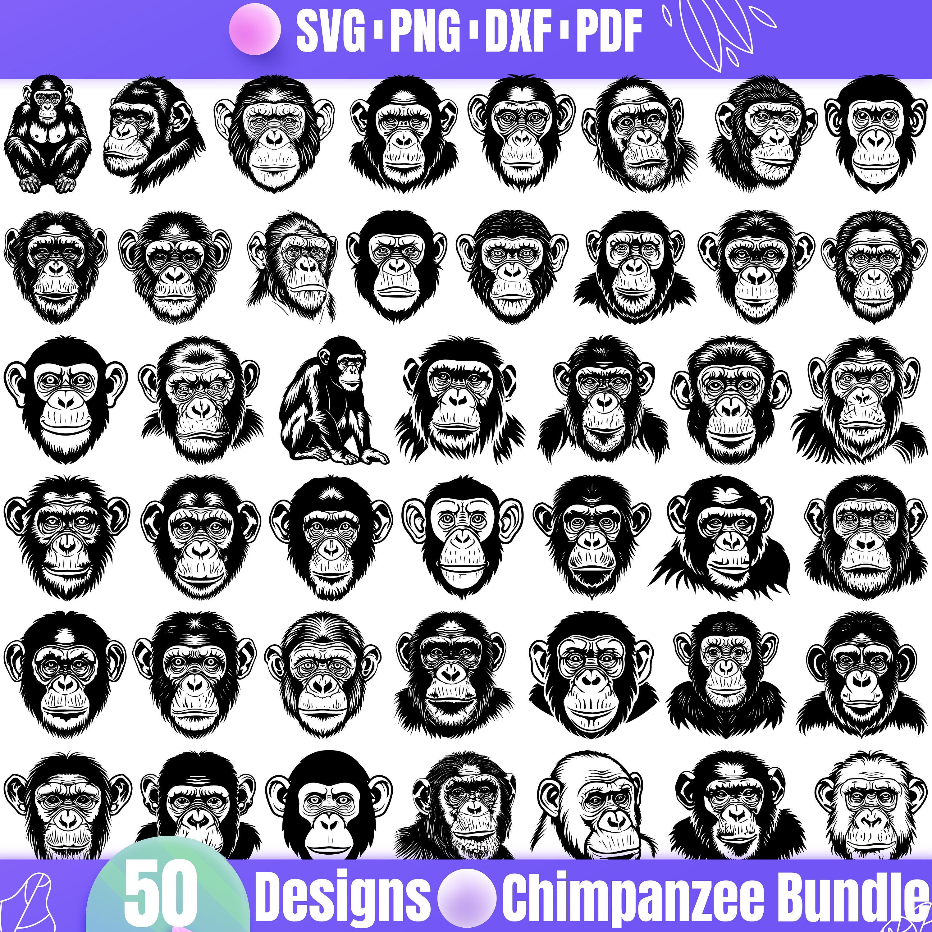High Quality Chimpanzee SVG Bundle, Chimpanzee Dxf, Chimpanzee Png ...