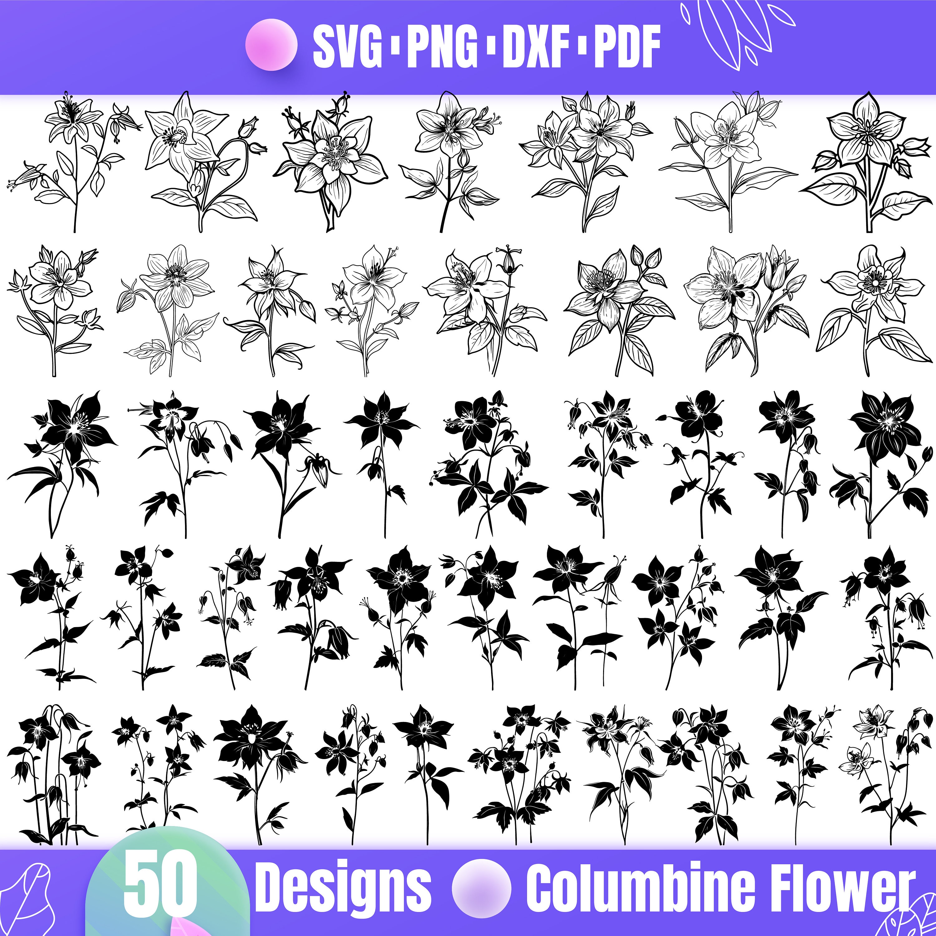 High Quality Columbine Flower SVG Bundle, Columbine Flower Dxf ...