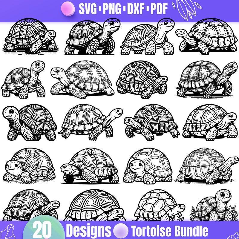 Tortoise Prints - Etsy