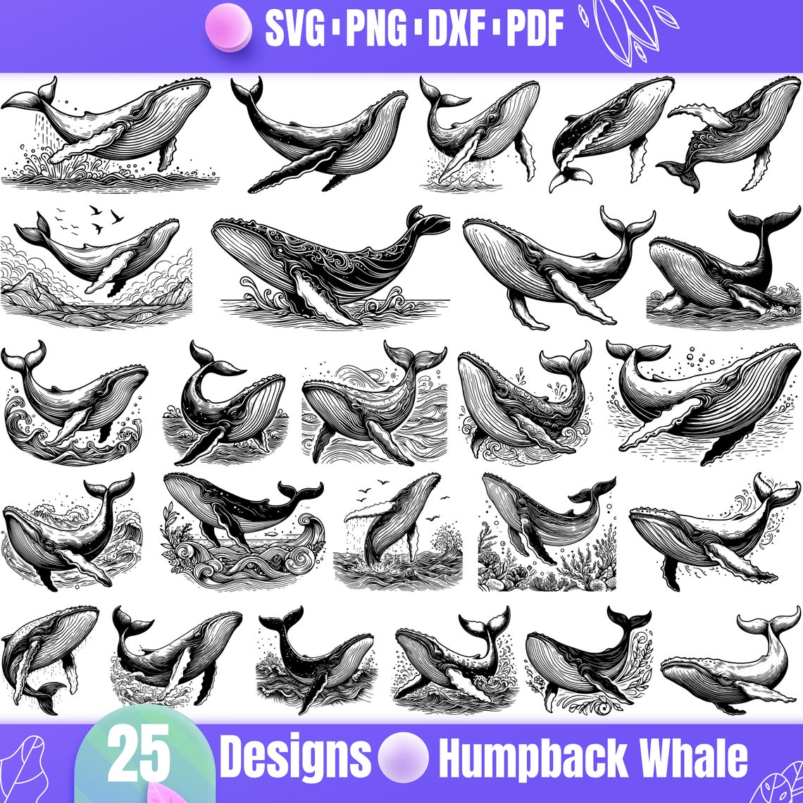 High Quality Humpback Whale SVG Bundle, Humpback Whale Dxf, Humpback ...