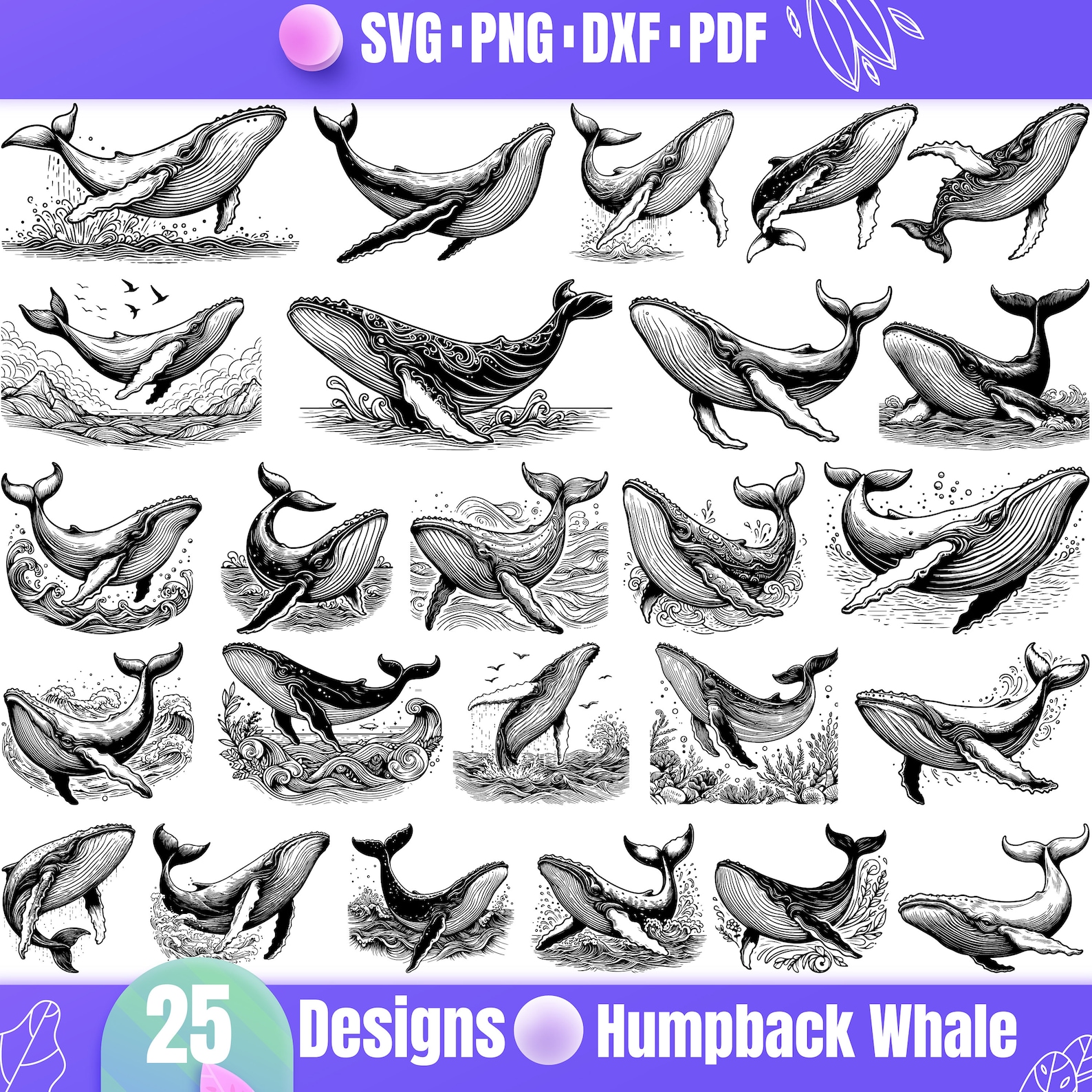High Quality Humpback Whale SVG Bundle, Humpback Whale Dxf, Humpback ...