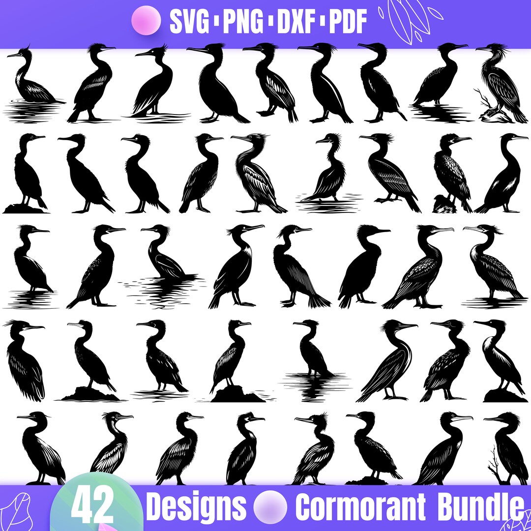 Cormorant Svg - Elegant Seabird Silhouette for Nautical Designs - Etsy