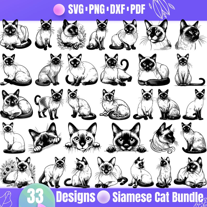 Siamese Cat Svg - Etsy