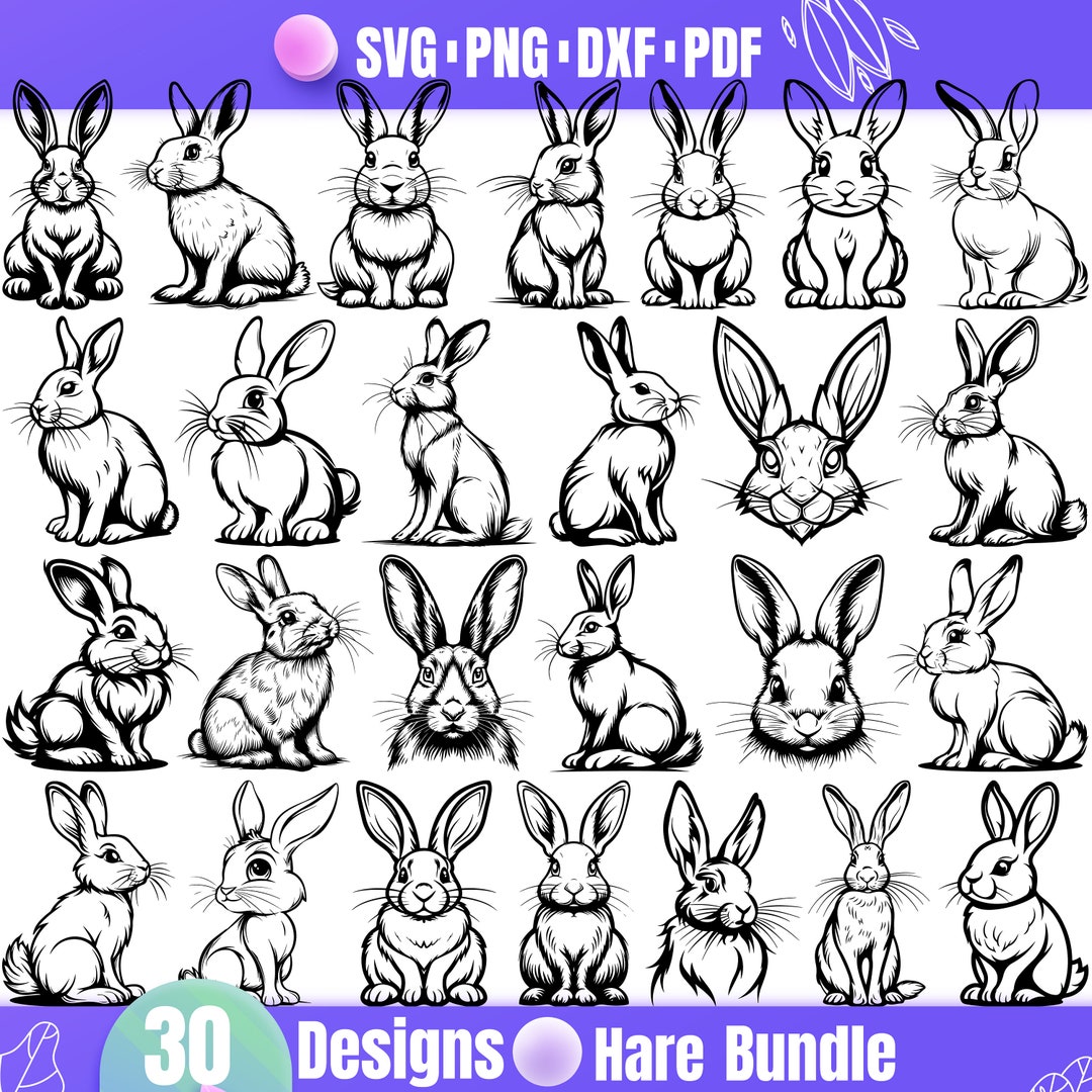 High Quality Hare SVG Bundle, Hare Dxf, Hare Png, Hare Vector, Hare ...