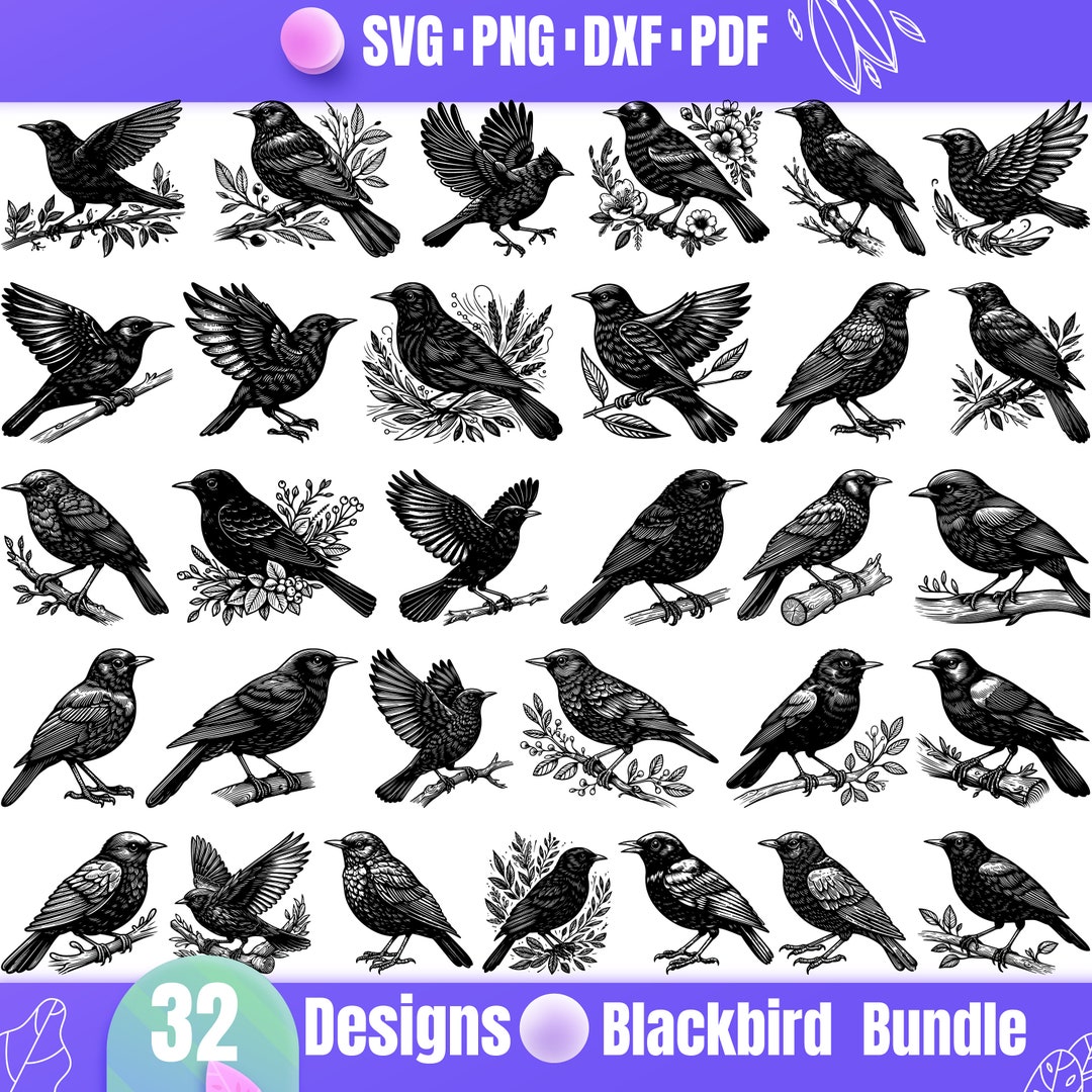 Blackbird SVG Bundle for Cricut and Sublimation, Silhouette Bird ...