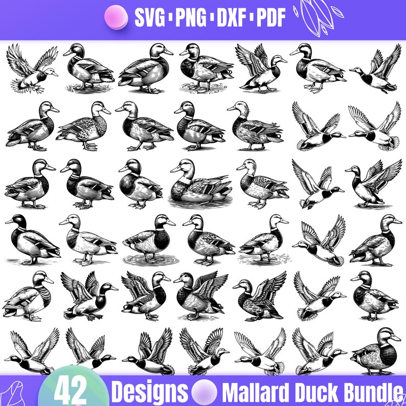 High Quality Mallard Duck SVG Bundle, Mallard Duck Dxf, Mallard Duck ...