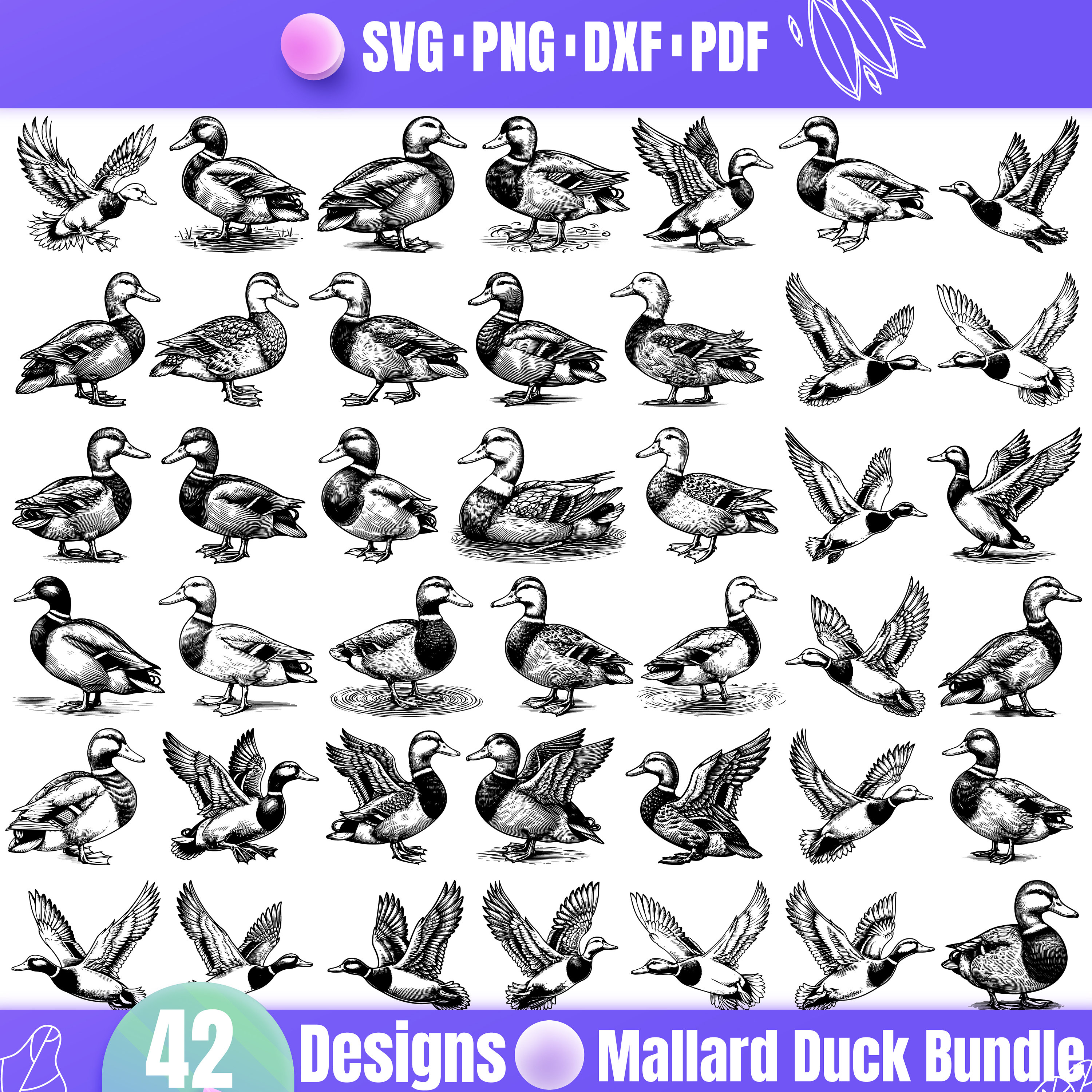 High Quality Mallard Duck SVG Bundle, Mallard Duck Dxf, Mallard Duck ...