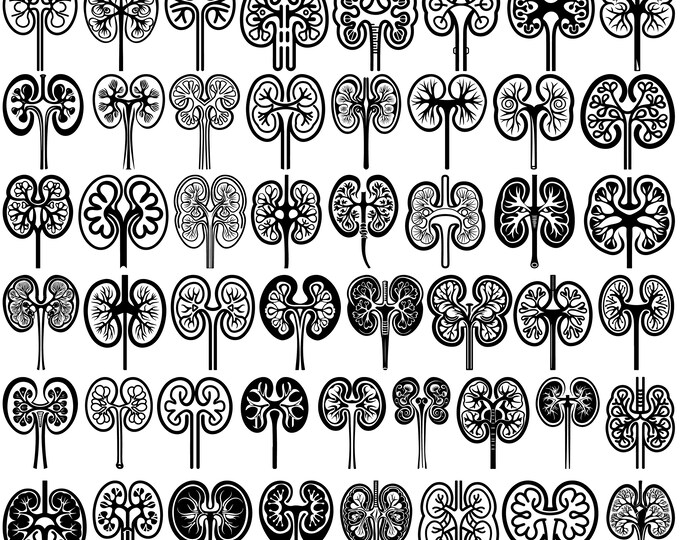 Kidney Fabric Kidneys and Bladder 1/2 Size by Sufficiency Kidney ...