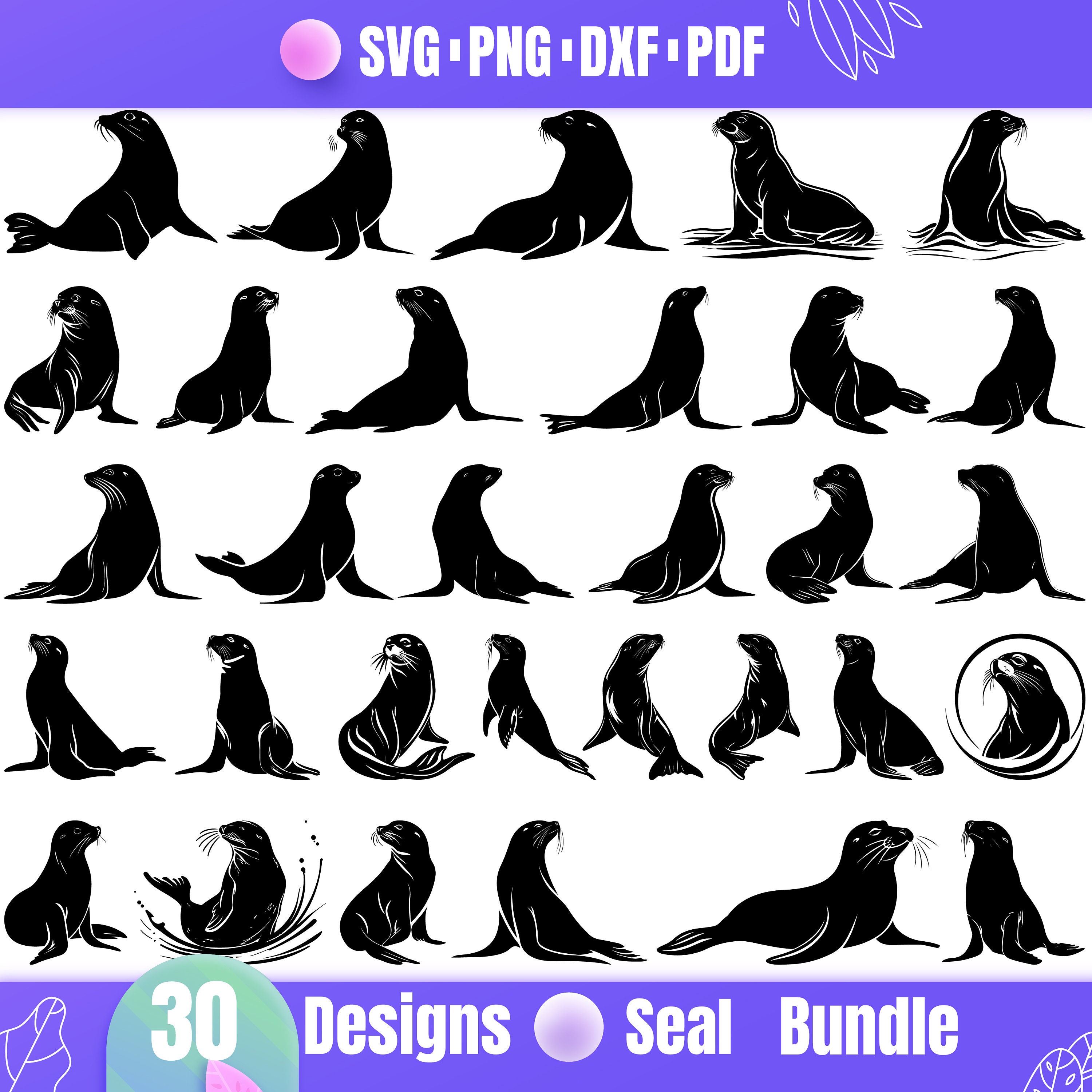 High Quality Seal SVG Bundle, Sea Line Svg, Seal Dxf, Seal Png, Seal ...