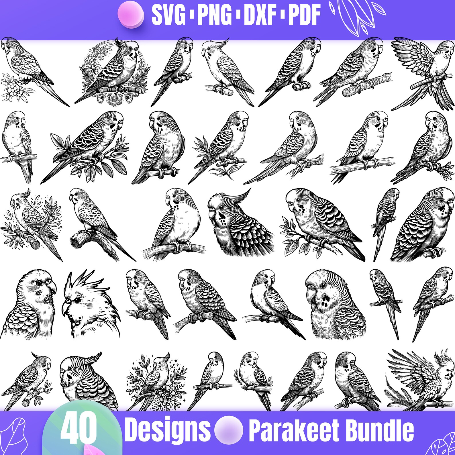 High Quality Parakeet SVG Bundle, Parakeet Dxf, Parakeet Png, Parakeet ...