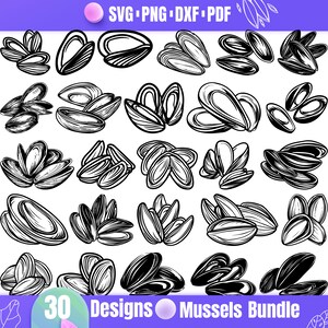 30 Mussels Designs SVG - Seafood Clipart Bundle, Mussels Vector Art for ...