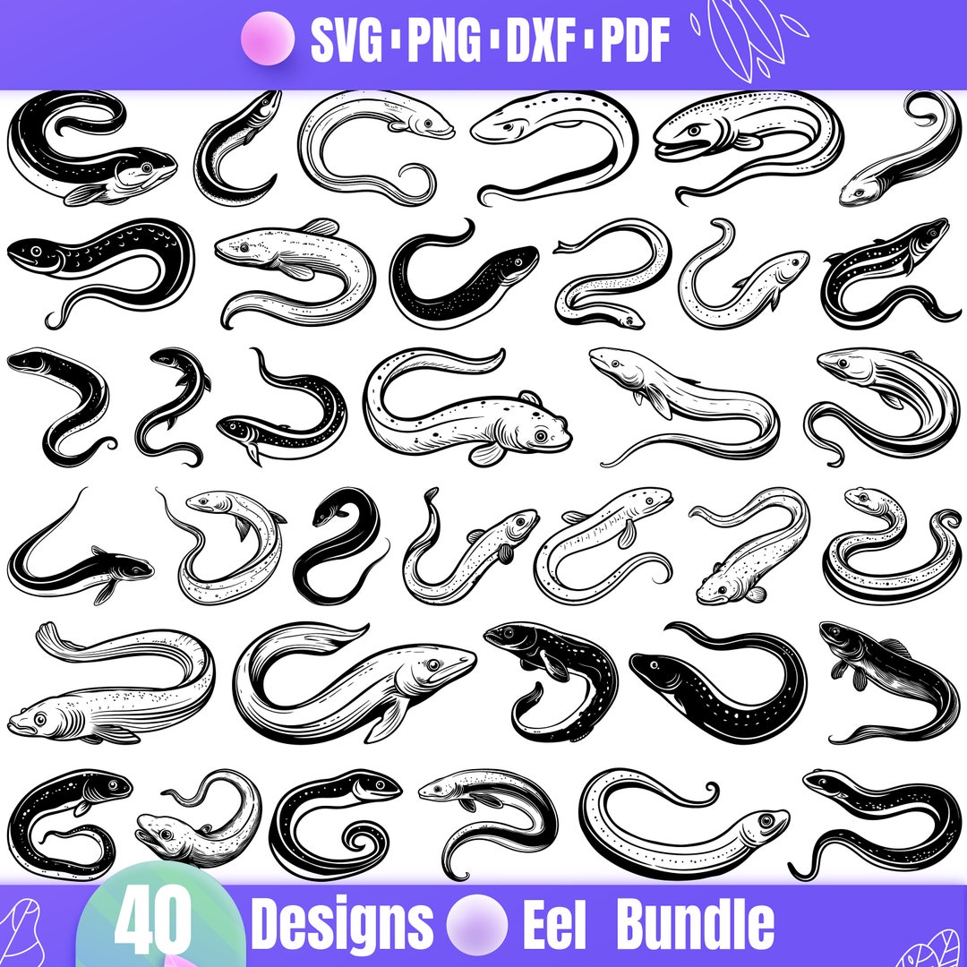 High Quality Eel SVG Bundle, Eel Dxf, Eel Png, Eel Vector, Eel Clipart ...