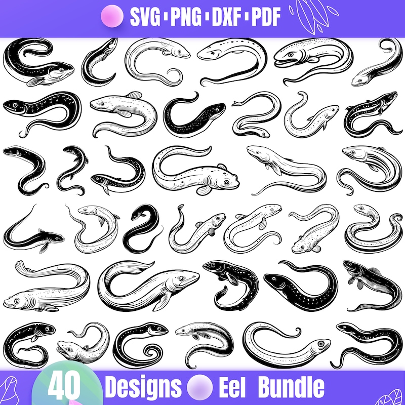 Electric Eel - Etsy