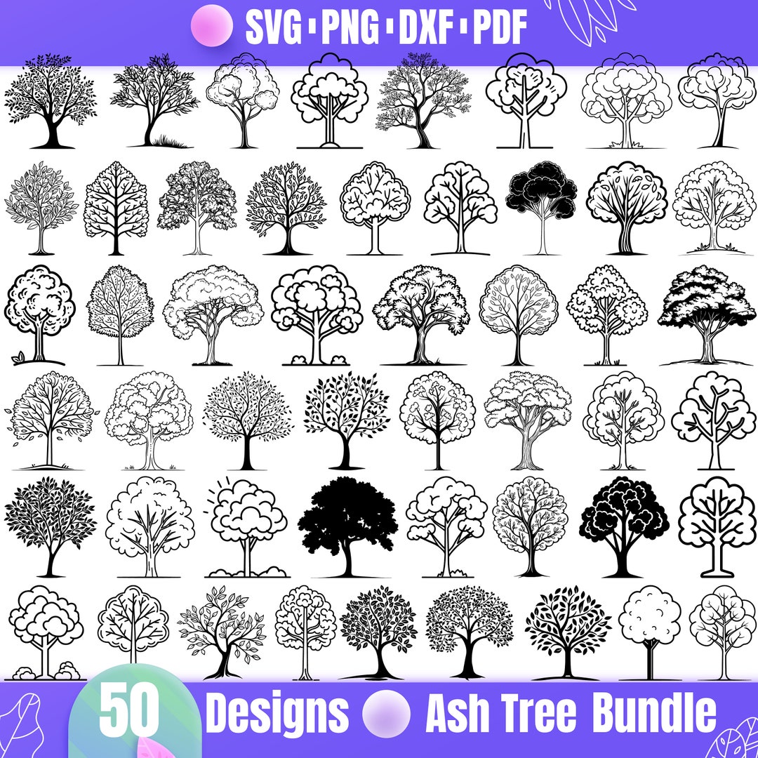 High Quality Ash Tree SVG Bundle, Ash Tree Dxf, Ash Tree Png, Ash Tree ...