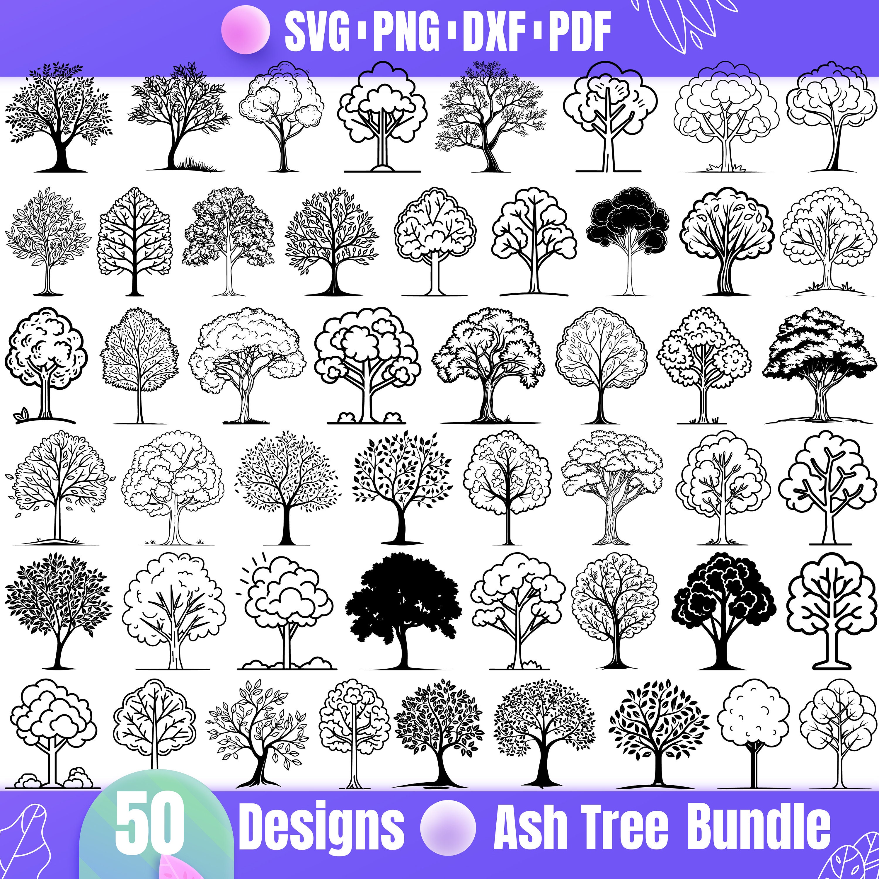 High Quality Ash Tree SVG Bundle, Ash Tree Dxf, Ash Tree Png, Ash Tree ...