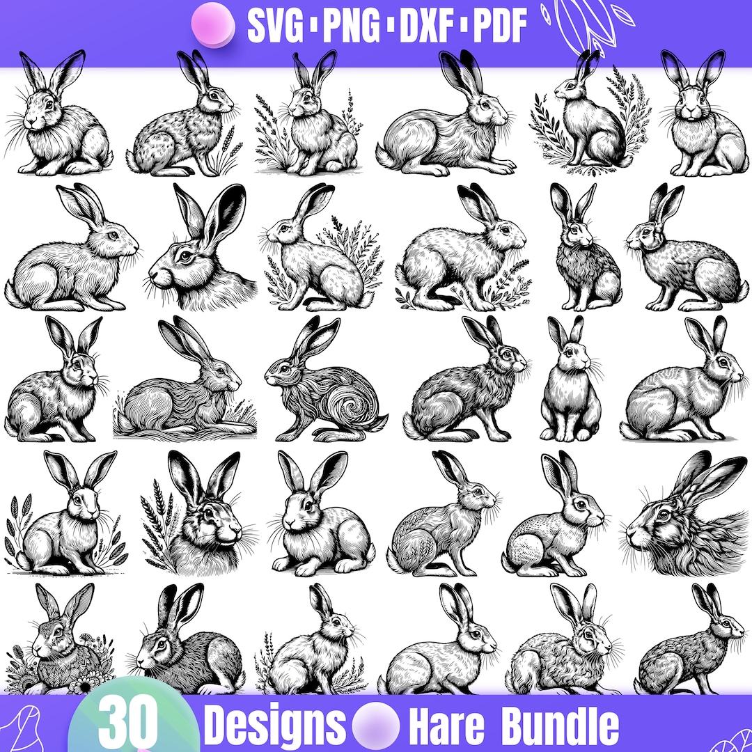 High Quality Hare SVG Bundle, Hare Dxf, Hare Png, Hare Vector, Hare ...