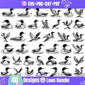 High Quality Loon SVG Bundle, Loon Dxf, Loon Png, Loon Vector, Loon ...