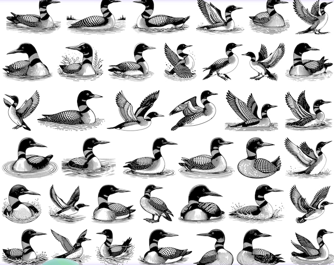 Simple Loon Bird in Water Svg Png Dxf Eps Pdf | Vector Graphic Design ...