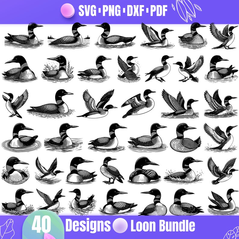High Quality Loon SVG Bundle, Loon Dxf, Loon Png, Loon Vector, Loon ...