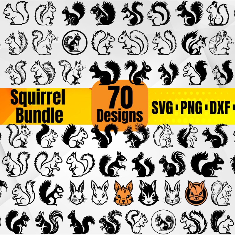Squirrel Svg - Etsy
