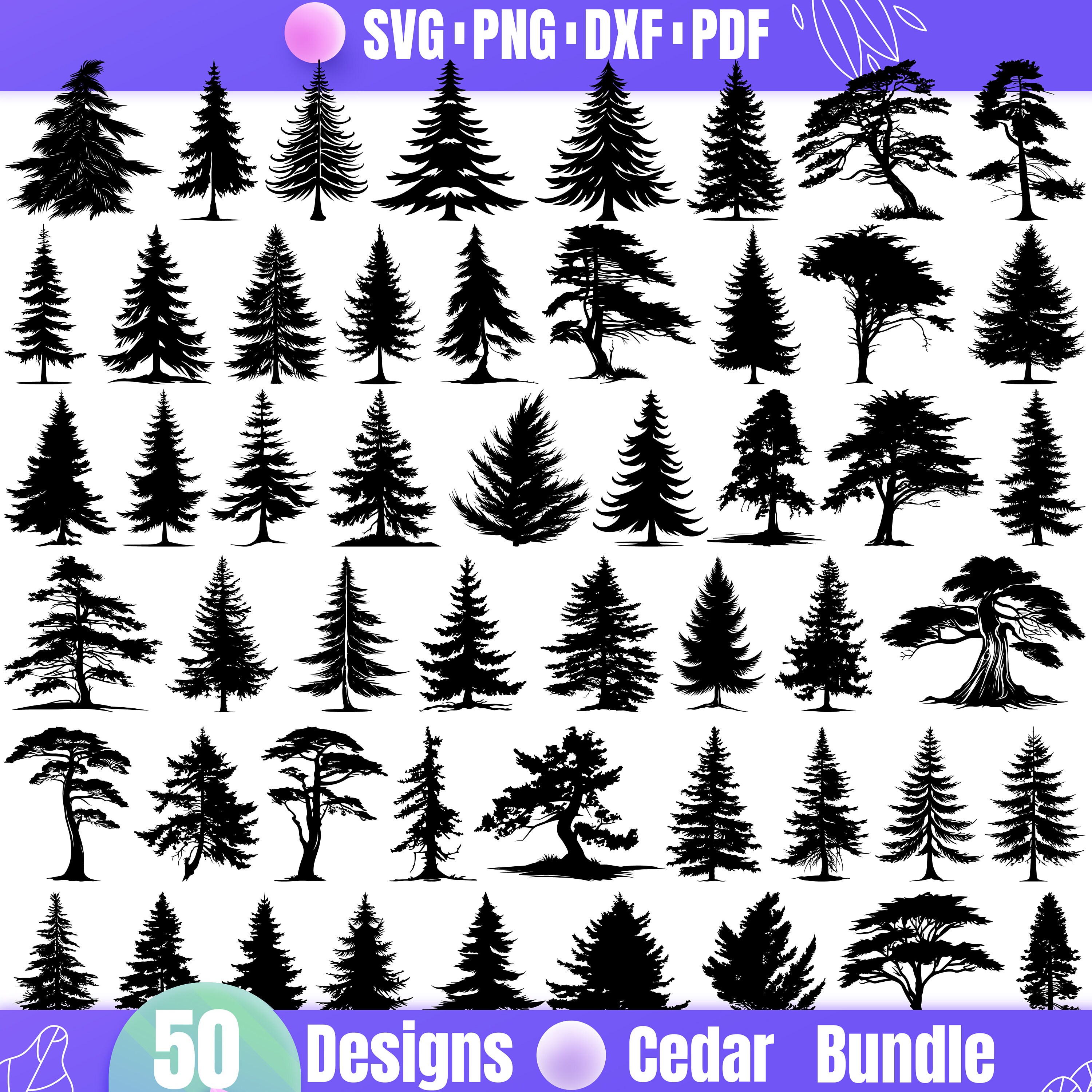 50 Cedar Tree Bundle SVG, Cedar Branch Clipart, Evergreen Silhouette ...