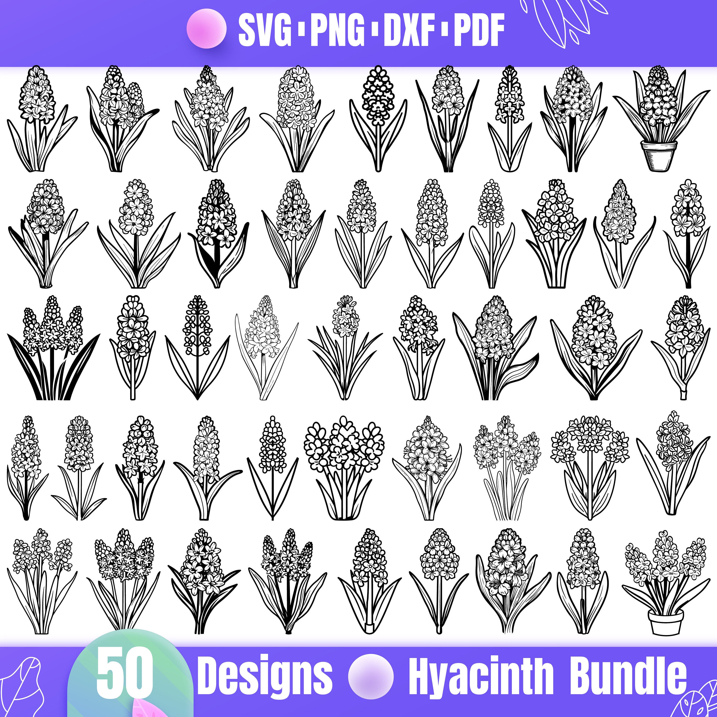 High Quality Hyacinth SVG Bundle, Hyacinth Dxf, Hyacinth Png, Hyacinth ...