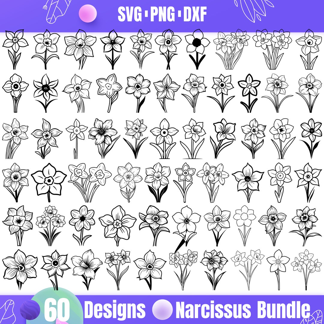 High Quality Narcissus SVG Bundle, Narcissus Monogram, Narcissus Dxf ...