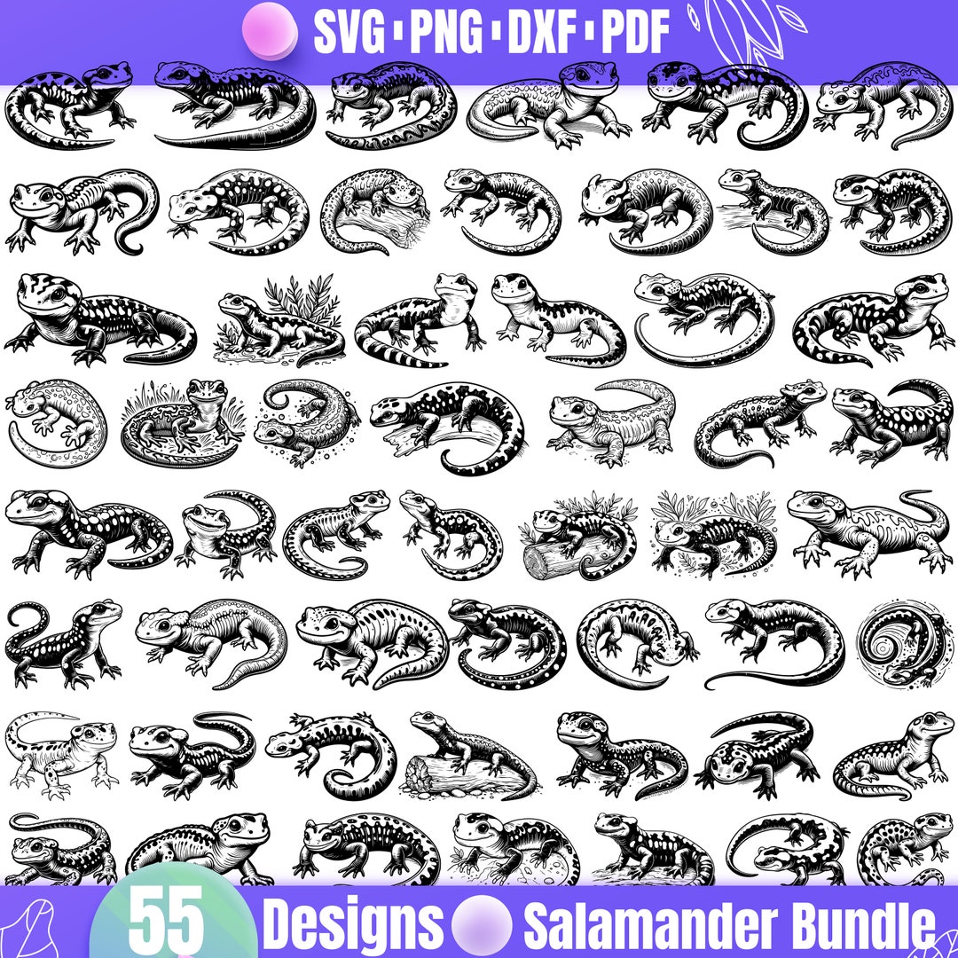 High Quality Salamander SVG Bundle, Salamander Dxf, Salamander Png ...