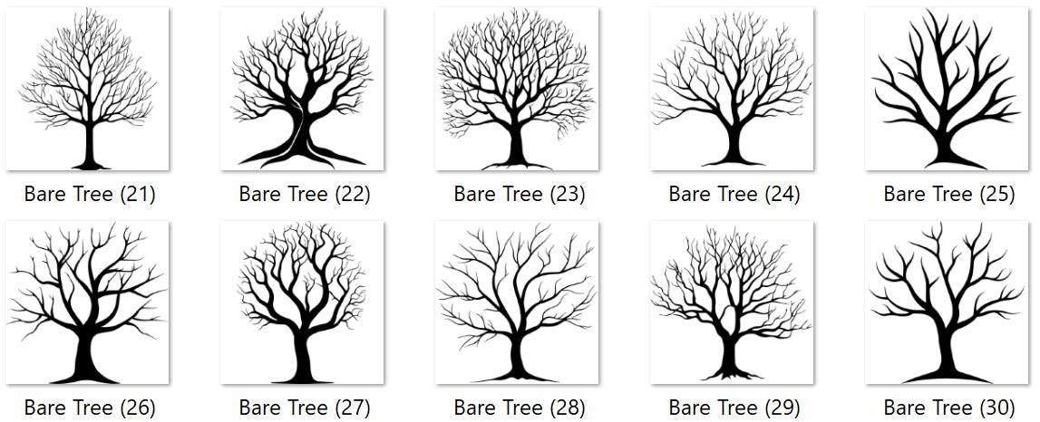High Quality Bare Tree SVG Bundle, Leafless Tree Svg, Forest Tree Svg ...