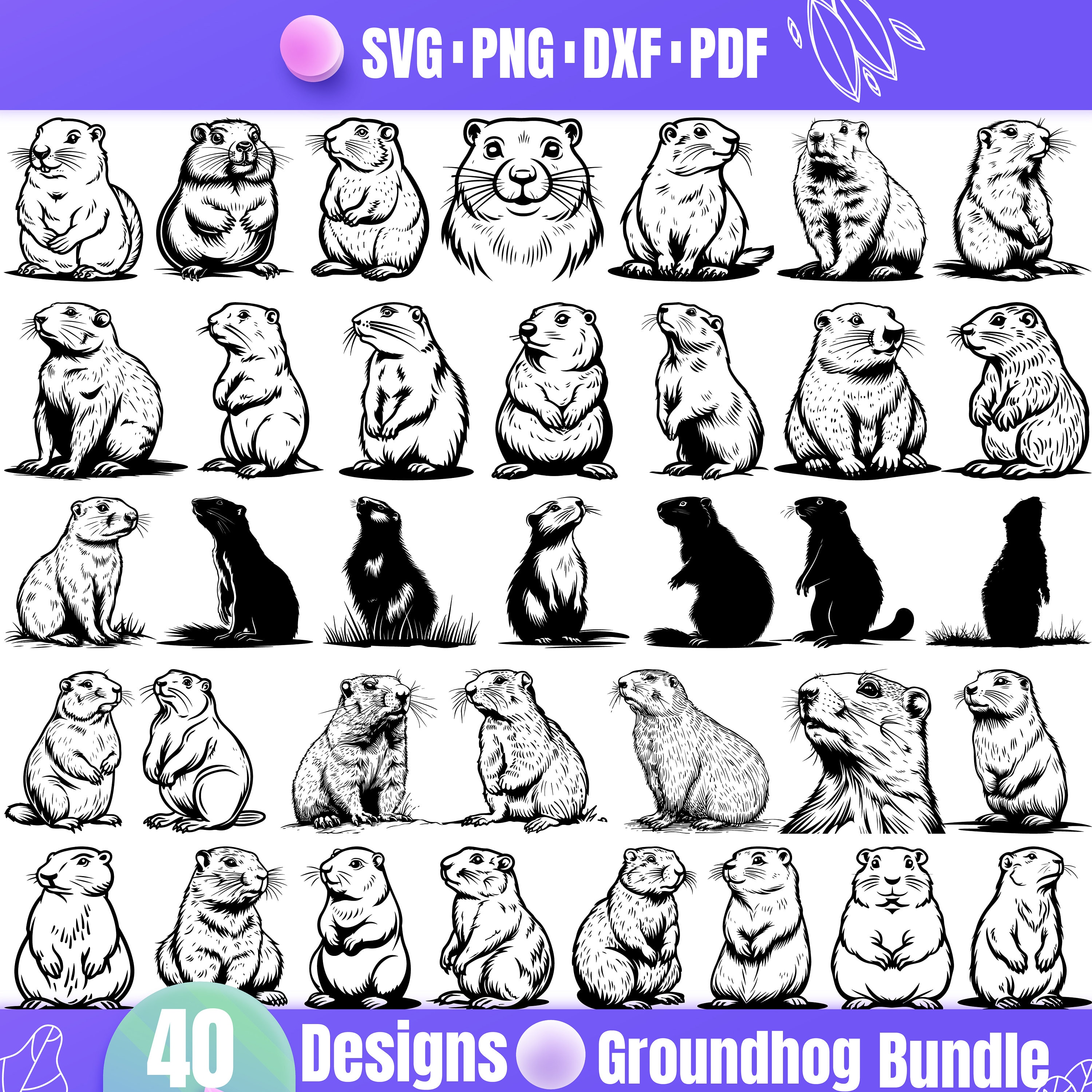 High Quality Groundhog SVG Bundle, Groundhog Dxf, Groundhog Png ...