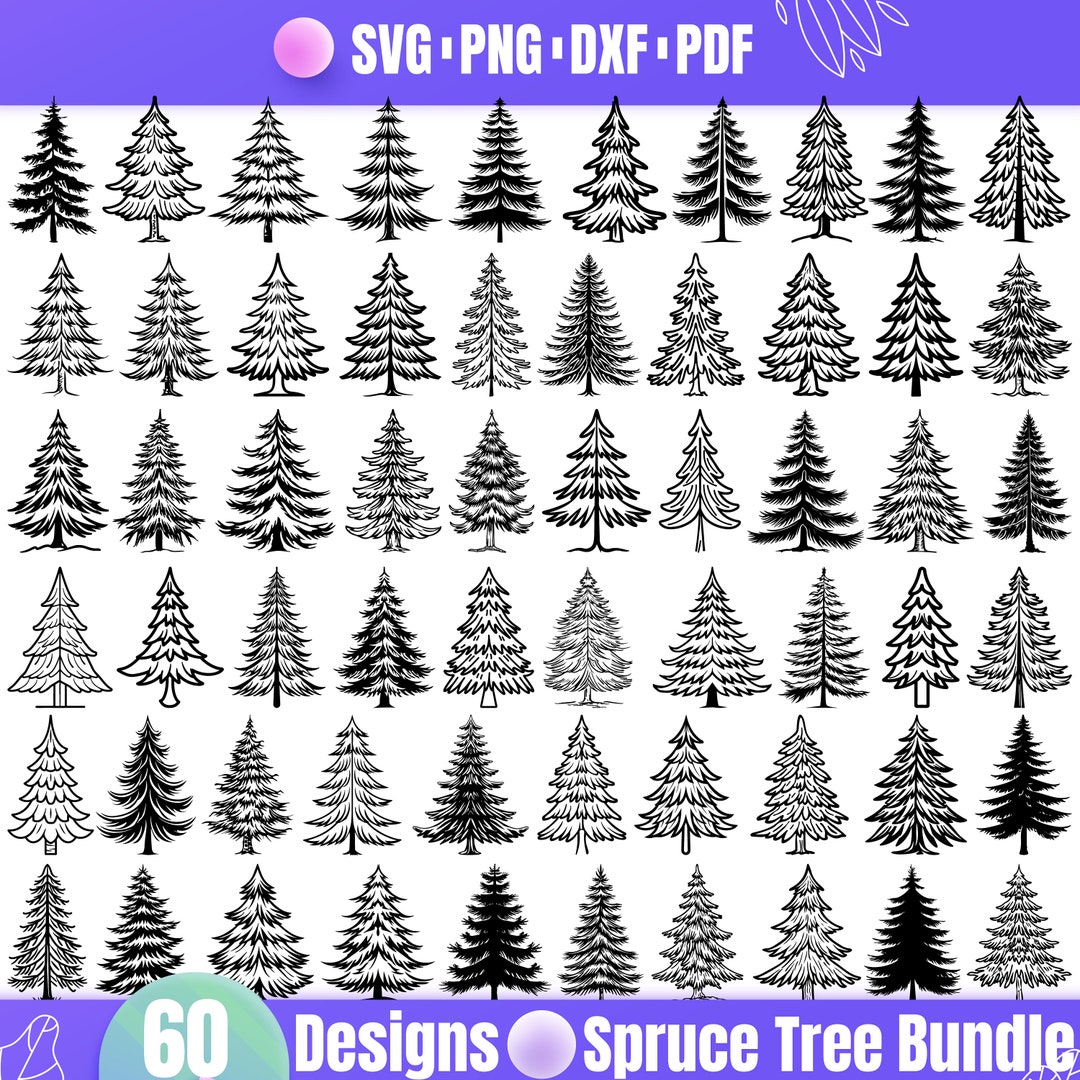 High Quality Spruce Tree SVG Bundle, Spruce Tree Dxf, Spruce Tree Png ...