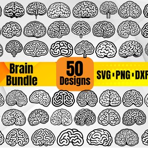 High Quality Brain SVG Bundle, Mental Health Svg, Brain Anatomy Svg ...