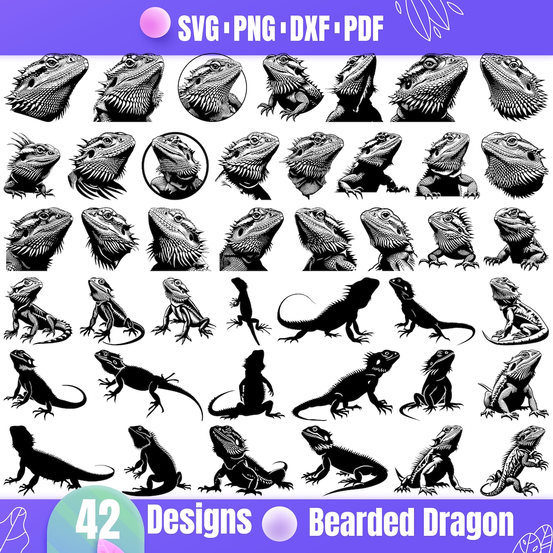 High Quality Bearded Dragon SVG Bundle, Bearded Dragon Dxf, Bearded ...