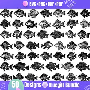 High Quality Bluegill SVG Bundle, Bluegill Dxf, Bluegill Png, Bluegill ...