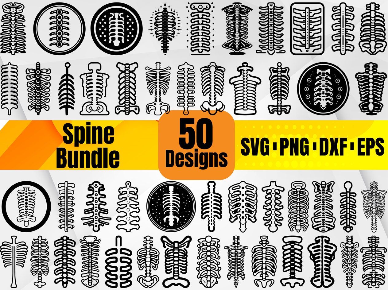 High Quality Spine SVG Bundle, Anatomy Spine Svg, Spine Monogram, Spine Dxf, Spine Png, Human ...