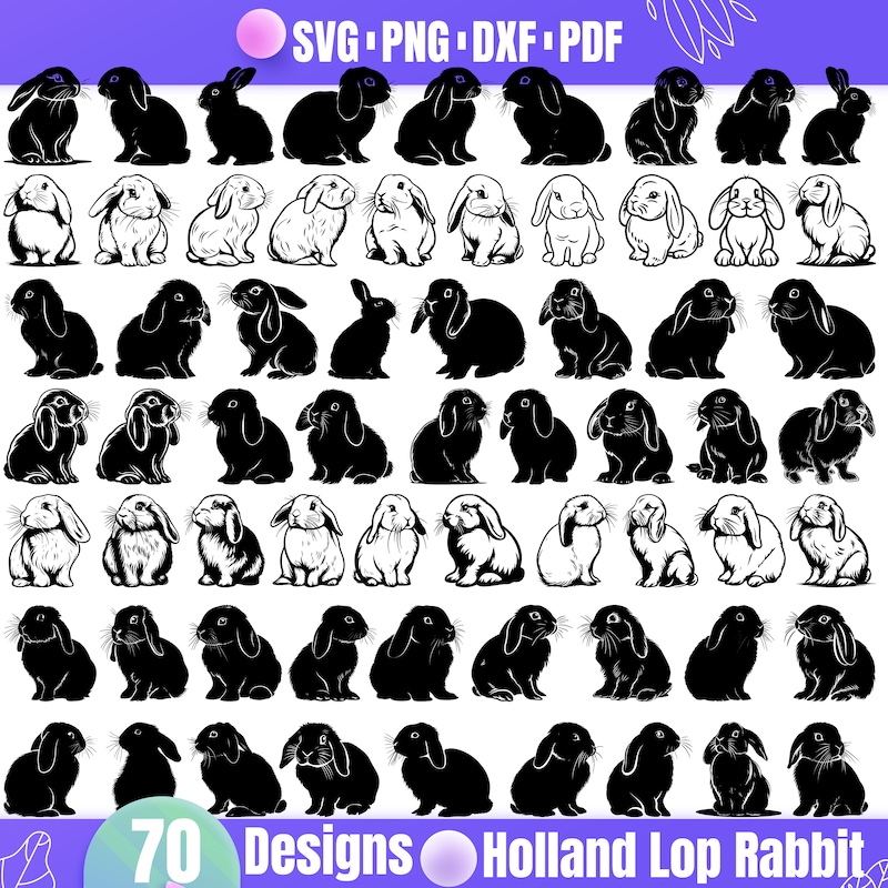 Lop Drawing Rabbit - Etsy UK