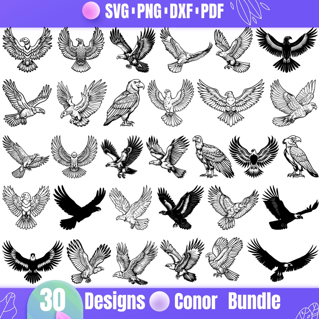 High Quality Condor SVG Bundle, Condor Dxf, Condor Png, Condor Vector ...