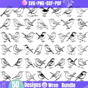 High Quality Wren SVG Bundle, Wren Dxf, Wren Png, Wren Vector, Wren ...