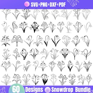 High Quality Snowdrop SVG Bundle, Snowdrop Dxf, Snowdrop Png, Snowdrop ...