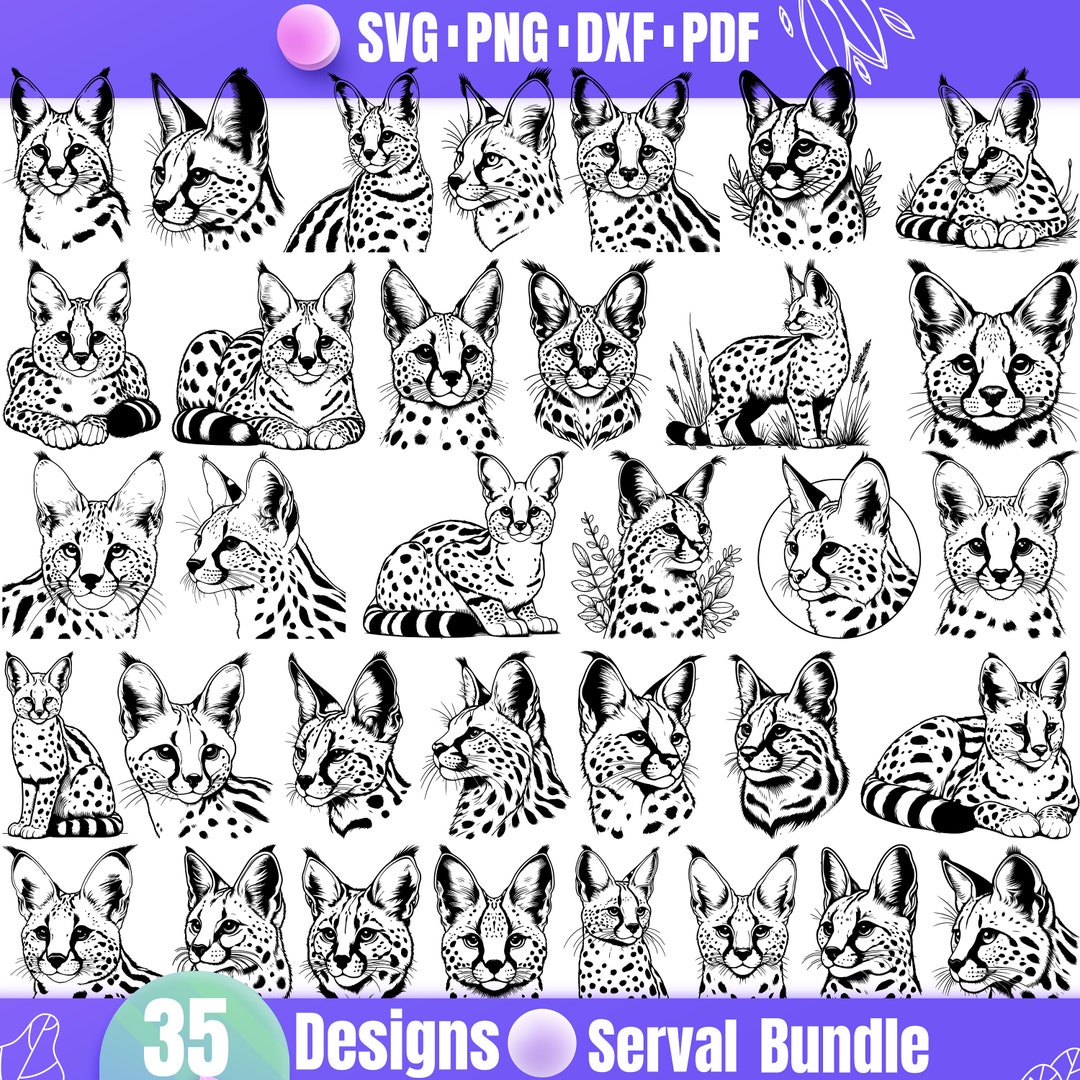 High Quality Serval SVG Bundle, Serval Dxf, Serval Png, Serval Vector ...