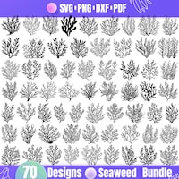 Seaweed - Etsy