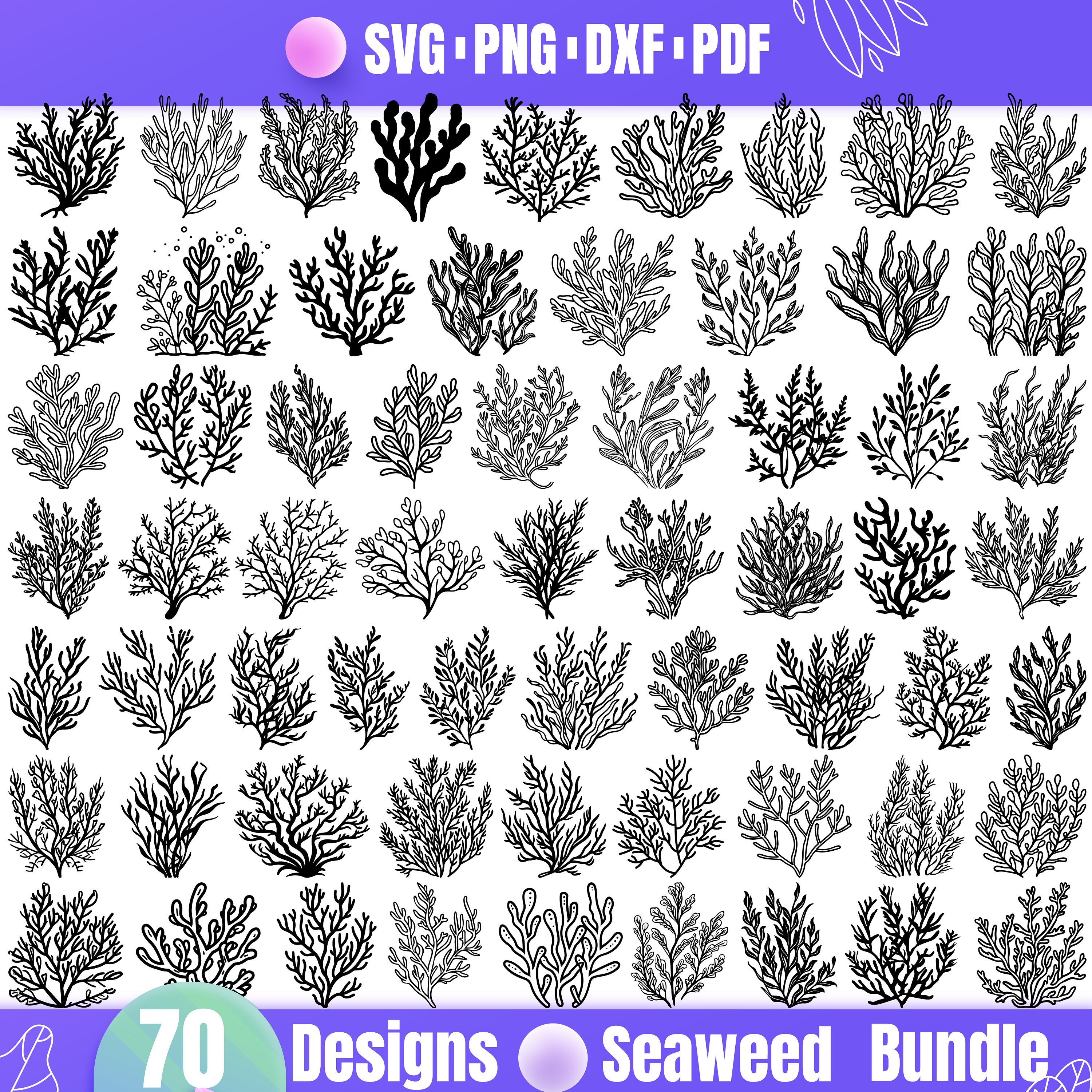 Seaweed SVG Bundle - 70 Ocean Botanical Silhouettes and Line Art ...